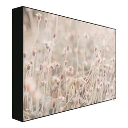 Bilderwelten Akustik-Wechselbild Strahlende Blumenwiese