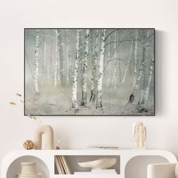 Akustik-Wechselbild Ruhender Birkenwald