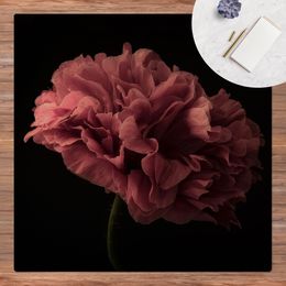 Bilderwelten Kork-Teppich Motiv schwarz Korkmatte - Stolze Pfingstrose vor Schwarz - Rose Wohnzimmer Schlafzimmer