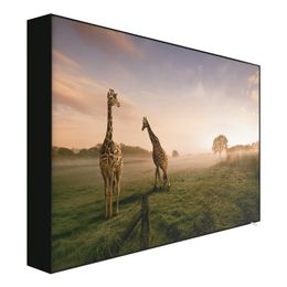 Bilderwelten Akustik-Wechselbild Surreal Giraffes