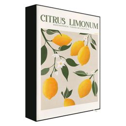 Bilderwelten Akustik-Wechselbild Citrus Limonum