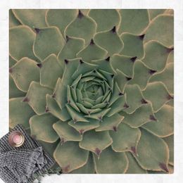 Bilderwelten Kork-Teppich Tropisch t&uuml;rkis Korkmatte - Kaktus Agave - Pflanzen Wohnzimmer Schlafzimmer
