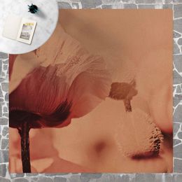 Bilderwelten Kork-Teppich Motiv rosa Korkmatte - Zartrosane Mohnbl&uuml;te mit Wassertropfen - Mohn Wohnzimmer Schlafzimmer