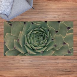Bilderwelten Kork-Teppich Tropisch t&uuml;rkis Korkmatte - Kaktus Agave - Pflanzen Wohnzimmer Schlafzimmer