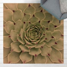 Kork-Teppich - Steinrose Jovibarba Hirta - Tropisch gr&uuml;n Korkmatte Pflanzen Wohnzimmer Schlafzimmer