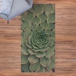 Bilderwelten Kork-Teppich Tropisch t&uuml;rkis Korkmatte - Kaktus Agave - Pflanzen Wohnzimmer Schlafzimmer