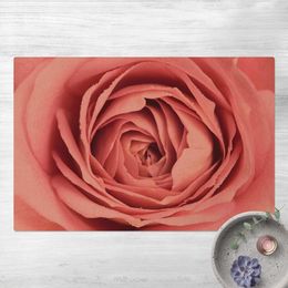 Bilderwelten Kork-Teppich Landhaus rosa Korkmatte - Rosa Rosenbl&uuml;te - Rose Wohnzimmer Schlafzimmer