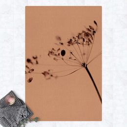 Bilderwelten Kork-Teppich Tropisch beige Korkmatte - Makroaufnahme Trockenblume im Schatten - Gr&auml;ser Wohnzimmer Schlafzimmer