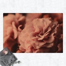Bilderwelten Kork-Teppich Landhaus rosa Blumen Korkmatte - Shabby Rosa Rose Pastell - Rose Wohnzimmer Schlafzimmer