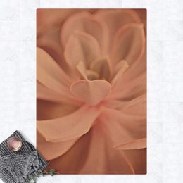 Bilderwelten Kork-Teppich Motiv rosa Korkmatte - Rosane Sukkulentenbl&uuml;te - Deko Wohnzimmer Schlafzimmer