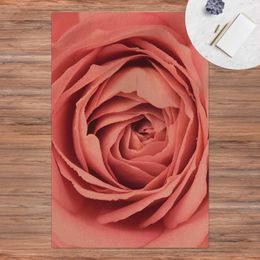 Bilderwelten Kork-Teppich Landhaus rosa Korkmatte - Rosa Rosenbl&uuml;te - Rose Wohnzimmer Schlafzimmer