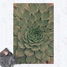 Bilderwelten Kork-Teppich Tropisch t&uuml;rkis Korkmatte - Kaktus Agave - Pflanzen Wohnzimmer Schlafzimmer