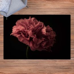 Bilderwelten Kork-Teppich Motiv schwarz Korkmatte - Stolze Pfingstrose vor Schwarz - Rose Wohnzimmer Schlafzimmer