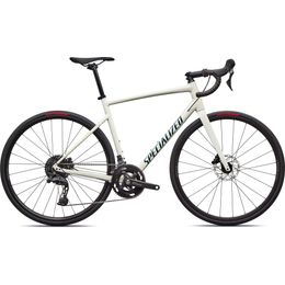 Specialized Allez E5 | Gr. 54 cm | Aluminium Rennrad