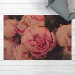 Bilderwelten Kork-Teppich Shabby rosa Blumen Korkmatte - Pfingstrosenbl&uuml;te Shabby - Rose Wohnzimmer Schlafzimmer