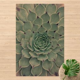Kork-Teppich - Kaktus Agave - Tropisch t&uuml;rkis Korkmatte Pflanzen Wohnzimmer Schlafzimmer