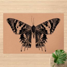 Bilderwelten Kork-Teppich Illustration schwarz Tiere Korkmatte - Illustration fliegender Madagaskar Schmetterling - Schmetterlinge Wohnzimmer Schlafzimmer