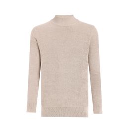 FELIX HARDY Herren Rollkragenpullover "Rollkragenpullover"beige, Gr. S, 100% Baumwolle, Pullover