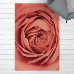 Kork-Teppich - Rosa Rosenbl&uuml;te - Landhaus rosa Korkmatte Rose Wohnzimmer Schlafzimmer