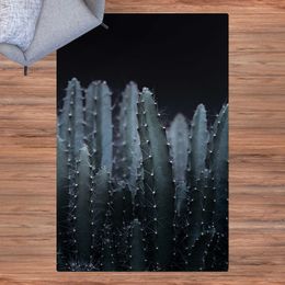 Bilderwelten Kork-Teppich Motiv schwarz Korkmatte - W&uuml;stenkaktus bei Nacht - Deko Wohnzimmer Schlafzimmer