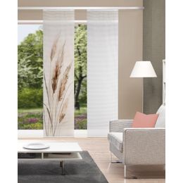 Schiebegardine Vision S "AUREA", natur, B:60cm H:260cm, Polyester, Polyester, Gardinen, digital bedruckt