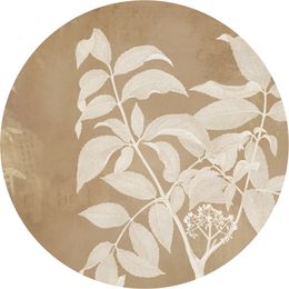 Fototapete Komar "Vlies selbstklebend - Blooming Branch - Gr&ouml;&szlig;e 125 x 125 cm", gelb (gelb, braun), B:125m L:125m, Vlies, Tapeten, Wohnzimmer, Schlafzimmer