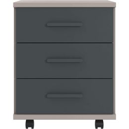 Rollcontainer wimex "Bahamas, Rollwagen auf Kunststoffrollen, inkl. 3 Schubladen", saharagrau, absetzung grafit, B:46cm H:58cm T:40cm, Holzwerkstoff, Rollwagen, Rollcontainer