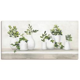 Wandbild Artland "Plant Life", farbe bild(er): gr&uuml;n, B:150cm H:75cm, Bilder, als Alubild, Leinwandbild, Poster, Wandaufkleber in verschied. Gr&ouml;&szlig;en