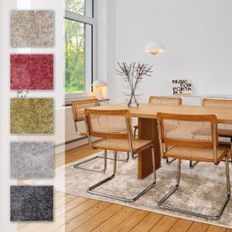 Teppich Astra "Stevie 250", beige, B:160cm H:9mm L:230cm, Polypropylen, Teppiche, Teppich, weicher Kurzflor, gewebt, Wohnzimmer, Schlafzimmer