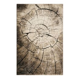 Teppich Wecon Home "Wild Oak" Gr. 3, braun, B:120cm H:13mm L:170cm, Kunstfaser, Teppiche, Teppich, Holz Optik, Wohnzimmer