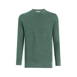 Rundhalspullover FELIX HARDY "Pullover mit Rundhalsausschnitt", Herren, Gr. M, gr&uuml;n, 100% Baumwolle, Pullover Rundhalspullover
