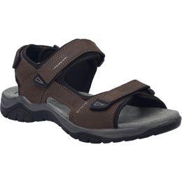 Sandale Josef Seibel "Arlo 02, braun", Herren, Gr. 44, braun, Obermaterial: 100% Rindsleder Leather cow., Schuhe Sandale