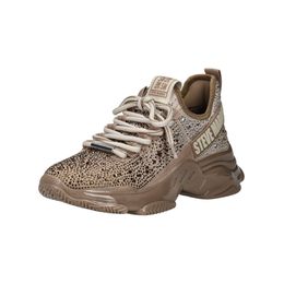 Sneaker Steve Madden "Steve Madden Sneaker Textil", Damen, Gr. 37, beige, gold, Textil, Schuhe Sneaker