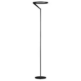 NOVA LUCE Stehlampe "TILIA", schwarz, 1, &Oslash; 33cm H: 168cm, 1 Stk., Leuchten, Stehlampe