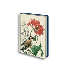 Skizzenbuch DIN A5 &raquo;Merian Stieglitz&laquo;