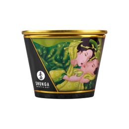 Shunga Exotic Green Tea, 170 ml