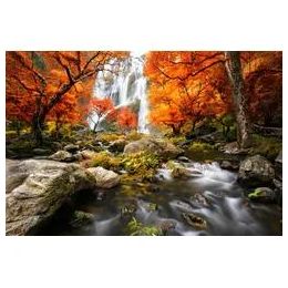Fototapete papermoon "WASSERFALL-HERBST B&Auml;UME WALD NATUR LANDSCHAFT DSCHUNGEL", bunt, B:5m L:2,8m, Vlies, Tapeten