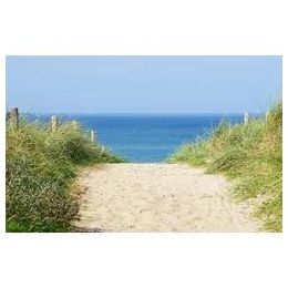 Fototapete papermoon "Dune at the Ocean", bunt, B:4m L:2,6m, Vlies, Tapeten