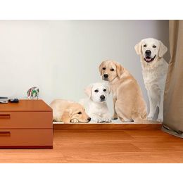 Wandtattoo Hunde Portait of Labradors and Golden Retriever Wandsticker Wandaufkleber in S-XXL