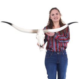 Deko Kuhsch&auml;del MCW-D32, Stierkopf Bulle Tierkopf Longhorn Troph&auml;e, Polyresin 103x43x11cm