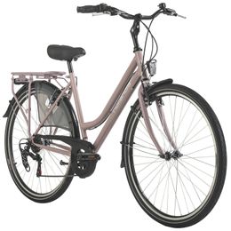 HOLLANDIA Hollandrad Damen 28" City Next RH 50 cm 6 G&auml;nge HOLLANDIA