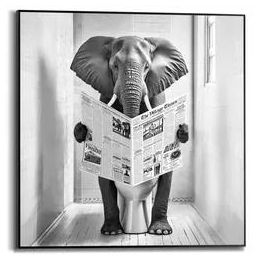 Poster Reinders "Elephant Toilet", schwarz-wei&szlig; (farbe bild(er): schwarz, wei&szlig;), B:50cm H:50cm T:1,6cm, Bilder, Poster, Toilette - WC - Zeitung - Schwarz-Wei&szlig; - MDF - Tiere - 50x50 cm
