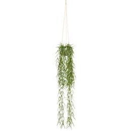 Kunstranke Creativ green "Tillandsia aeranthos im H&auml;ngetopf", gr&uuml;n, B:10cm H:90cm, Kunststoff, Kunstpflanzen, im H&auml;ngetopf aus Kunststoff