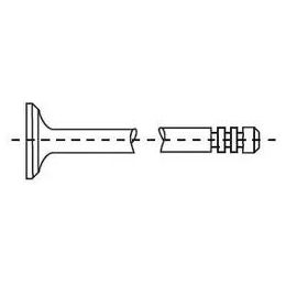 CORTECO Auslassventil 554017B Abgasseitig f&uuml;r CITRO&Euml;N/PEUGEOT 0949C3