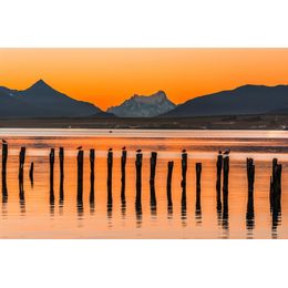 Fototapete papermoon "PUERTO NATALES-CHILE SEE GEBIRGE BLUMEN SONNE WALD STEG", bunt, B:4,5m L:2,8m, Vlies, Tapeten