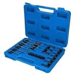 Brilliant Tools HSS Schraubenausdreher-Satz, 25-tlg. BT541900 Schraubenausdreher