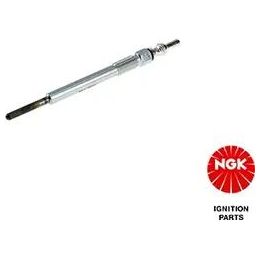 NGK Gl&uuml;hkerze D-Power 97256 11,0V f&uuml;r ALFA ROMEO FERRARI FIAT VAUXHALL FORD LANCIA OPEL ABARTH MASERATI 1542845 93178047 1214032