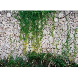 Livingwalls Fototapete LIVING WALLS "Natursteinmauer Vlies", bunt, B:3,5m L:2,55m, Vlies, Tapeten, Steinwand mit Pflanzen Fototapete Steine 3,50 m x 2,55 m Tapete