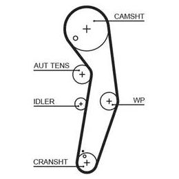 GATES Zahnriemen PowerGrip&reg; 5569XS schwarz f&uuml;r SKODA VW SEAT AUDI FORD 038109119P XM216268BA 038109119S