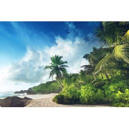Fototapete papermoon "PALMEN-STRAND-SEYCHELLEN TROPISCH INSEL AFRIKA K&Uuml;STE", bunt, B:4,5m L:2,8m, Vlies, Tapeten